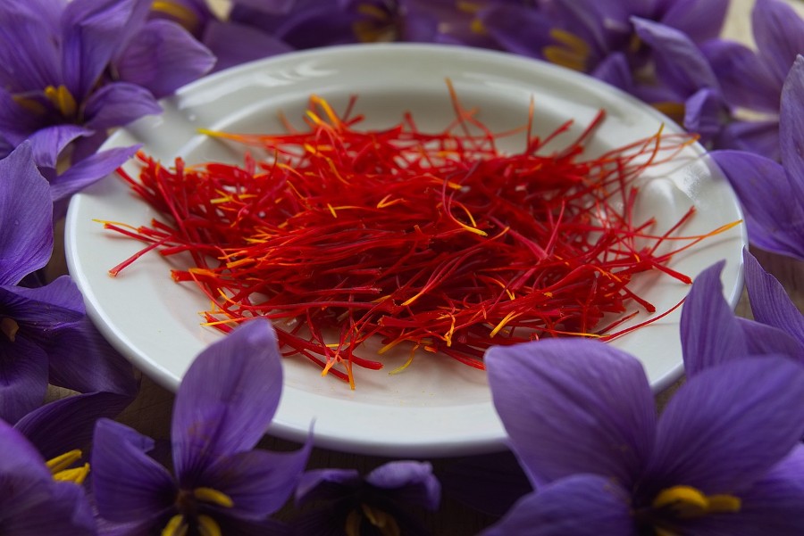 Saffron Protects Against Macular Degeneration | Environmental Health ...