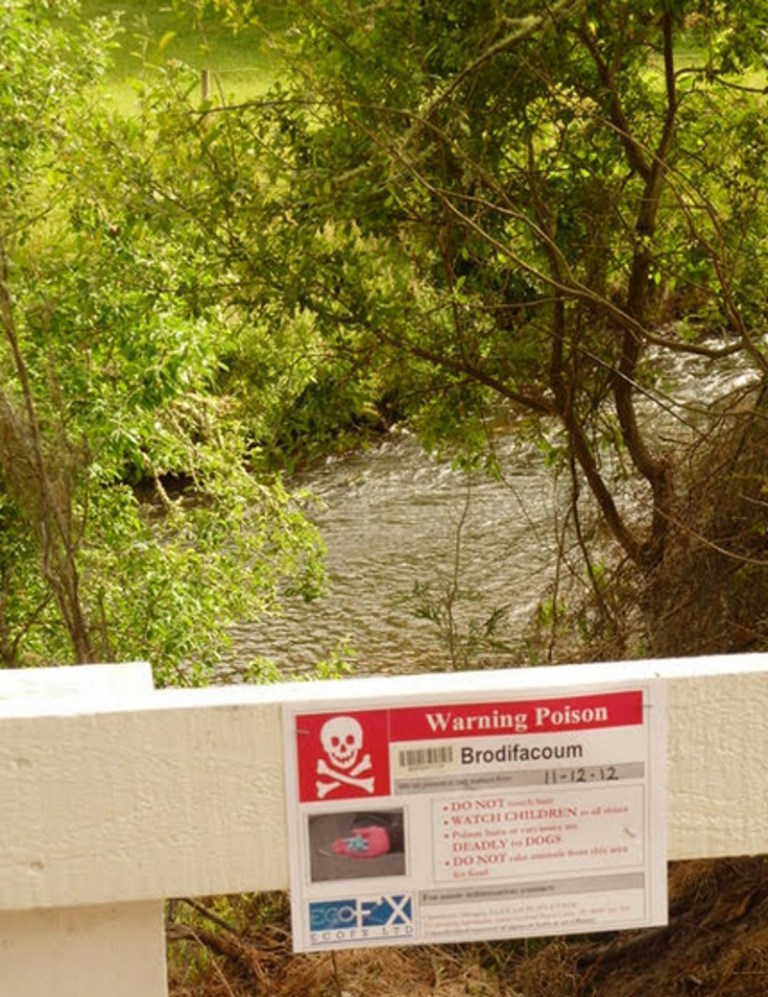 There’s an Even Worse Poison than 1080 – It’s Brodifacoum ...